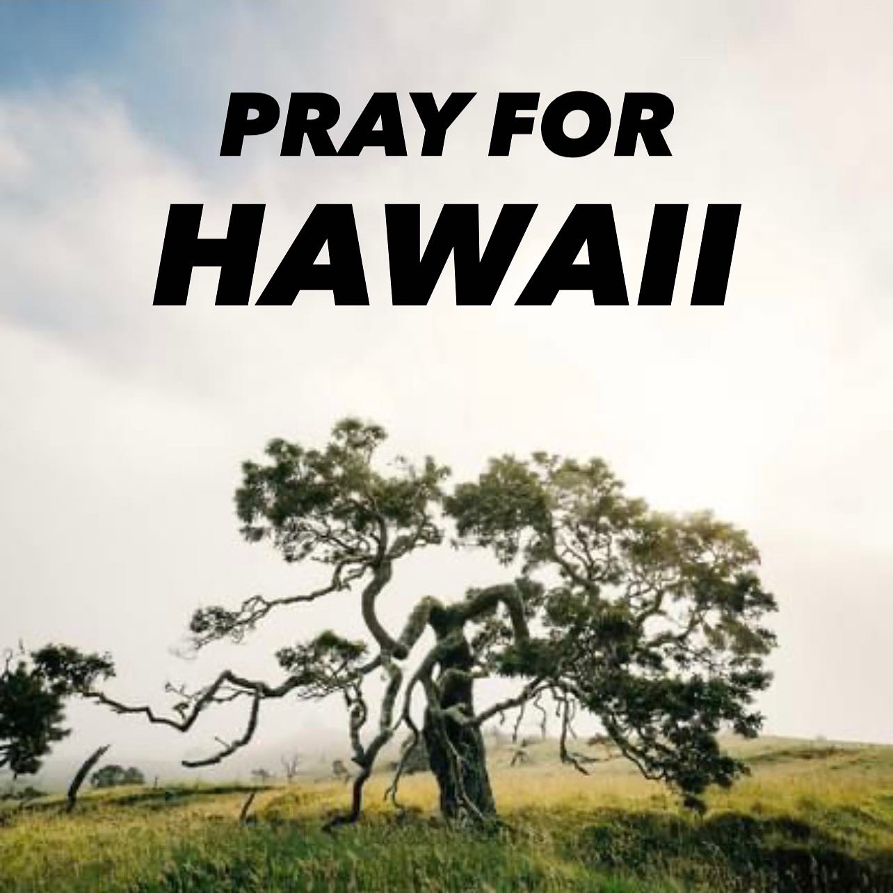 Pray for Hawaii – ORIGINAL GRAIN JAPAN｜オリジナルグレイン